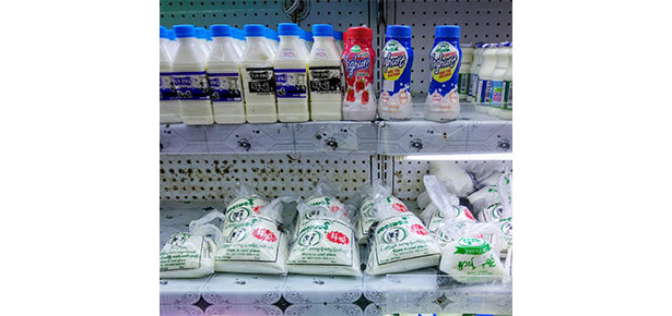 A Case for Milk – The Dairy Industry in Myanmar | Myanmar Insider